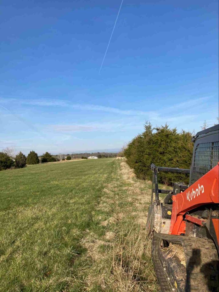 What is Bush Hogging and Why Do You Need It? - Timber Works Tree Care