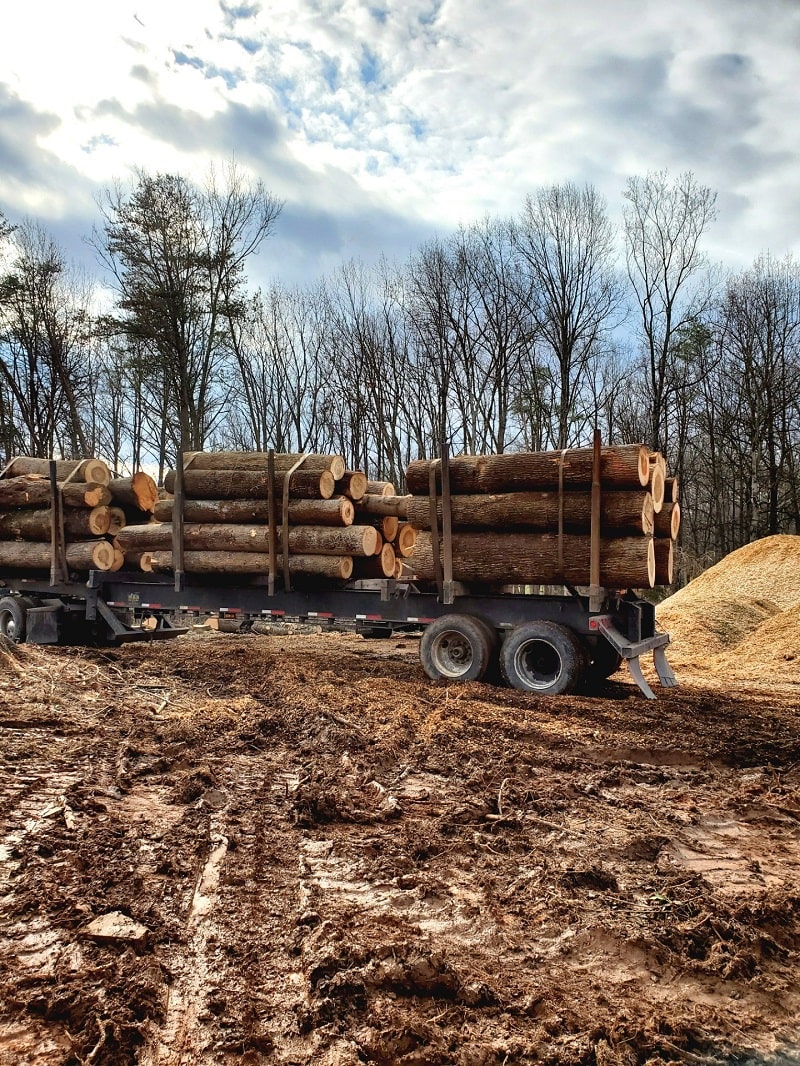 Commercial Tree Removal Services in Fairfax County, VA