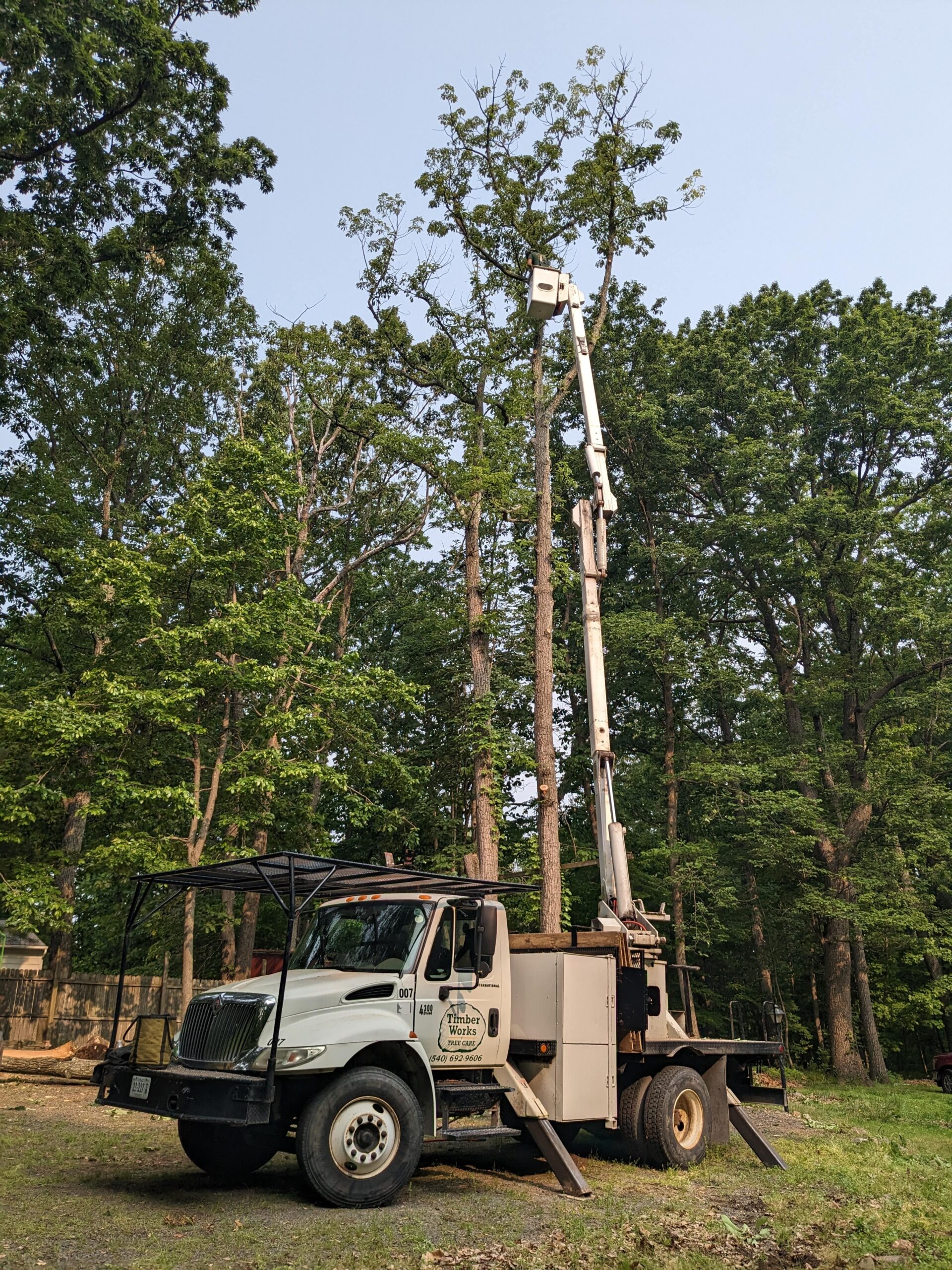 Refer a Veteran Tree Service | Tree Service Ashburn VA