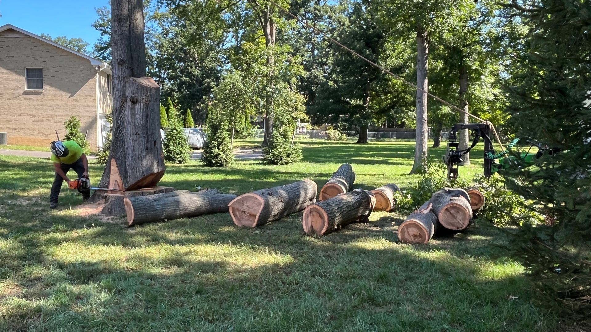 What Happens to Wood Chips? | Tree Chipping Aldie VA