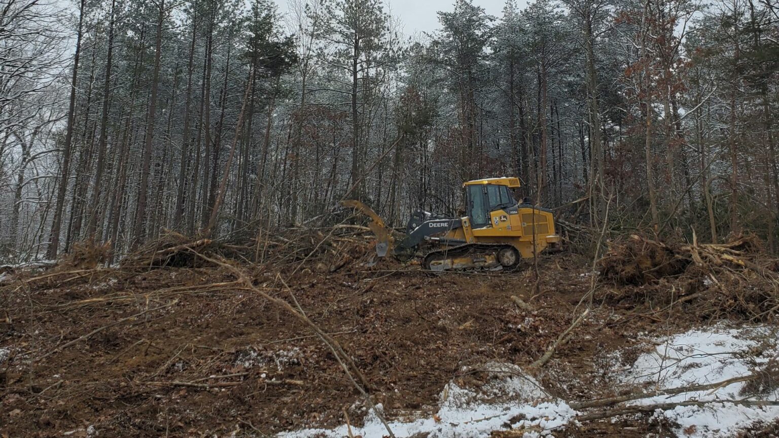 VA Tree Service | VA Tree Removal | Timber Works Tree Care