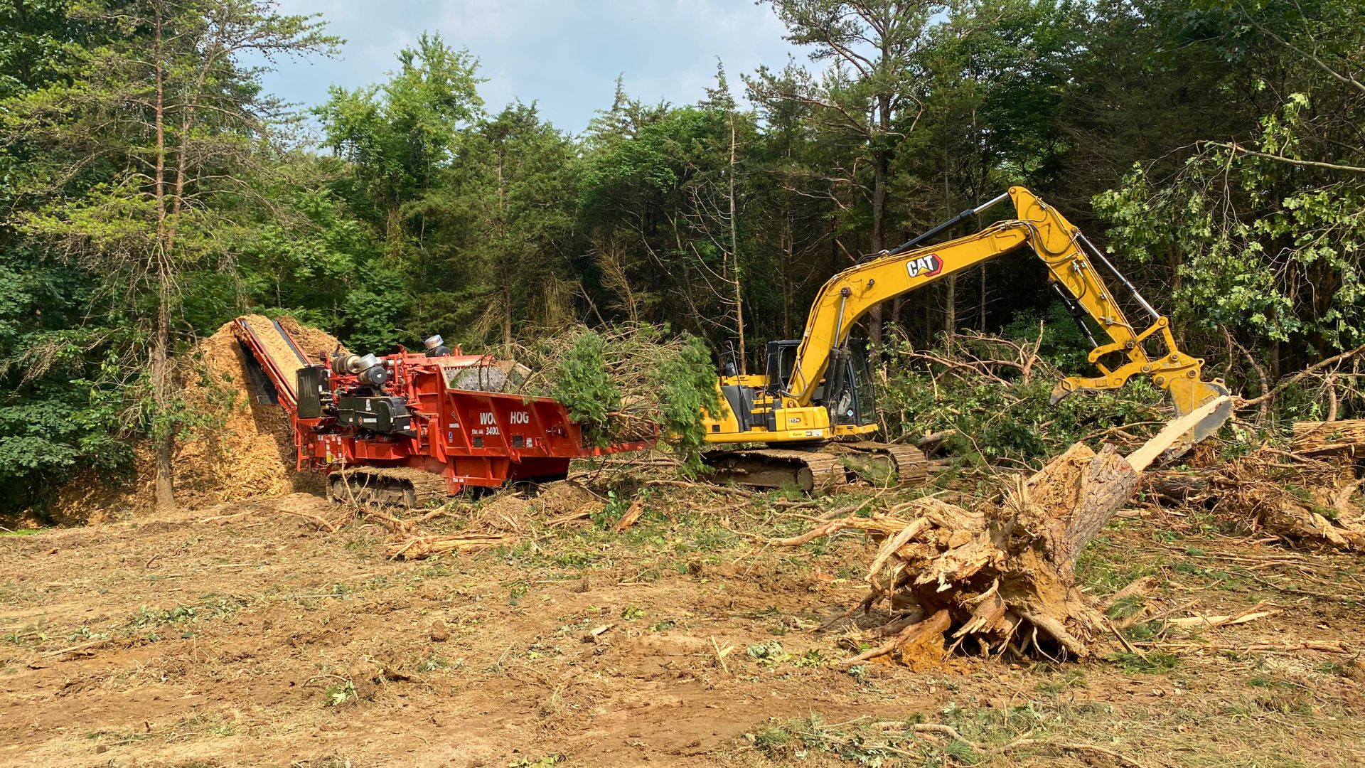 VA Tree Service | VA Tree Removal | Timber Works Tree Care