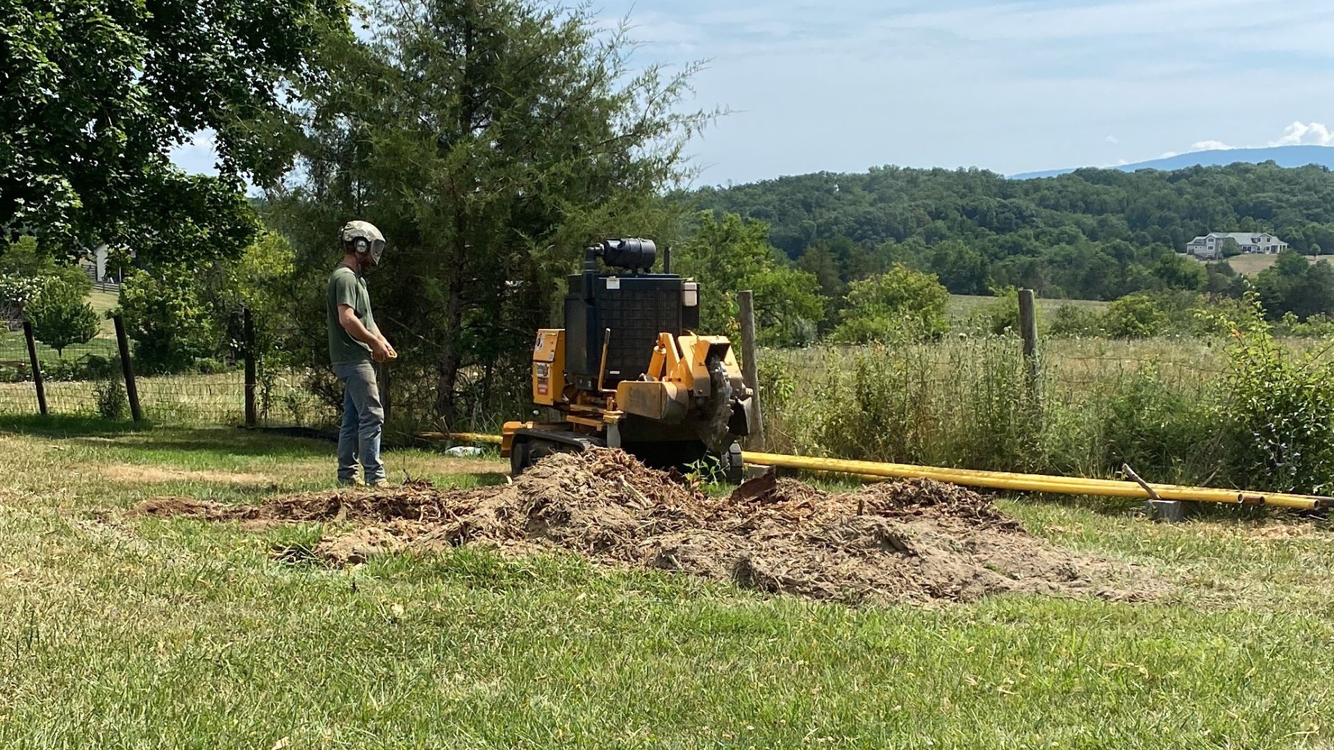VA Tree Service | VA Tree Removal | Timber Works Tree Care
