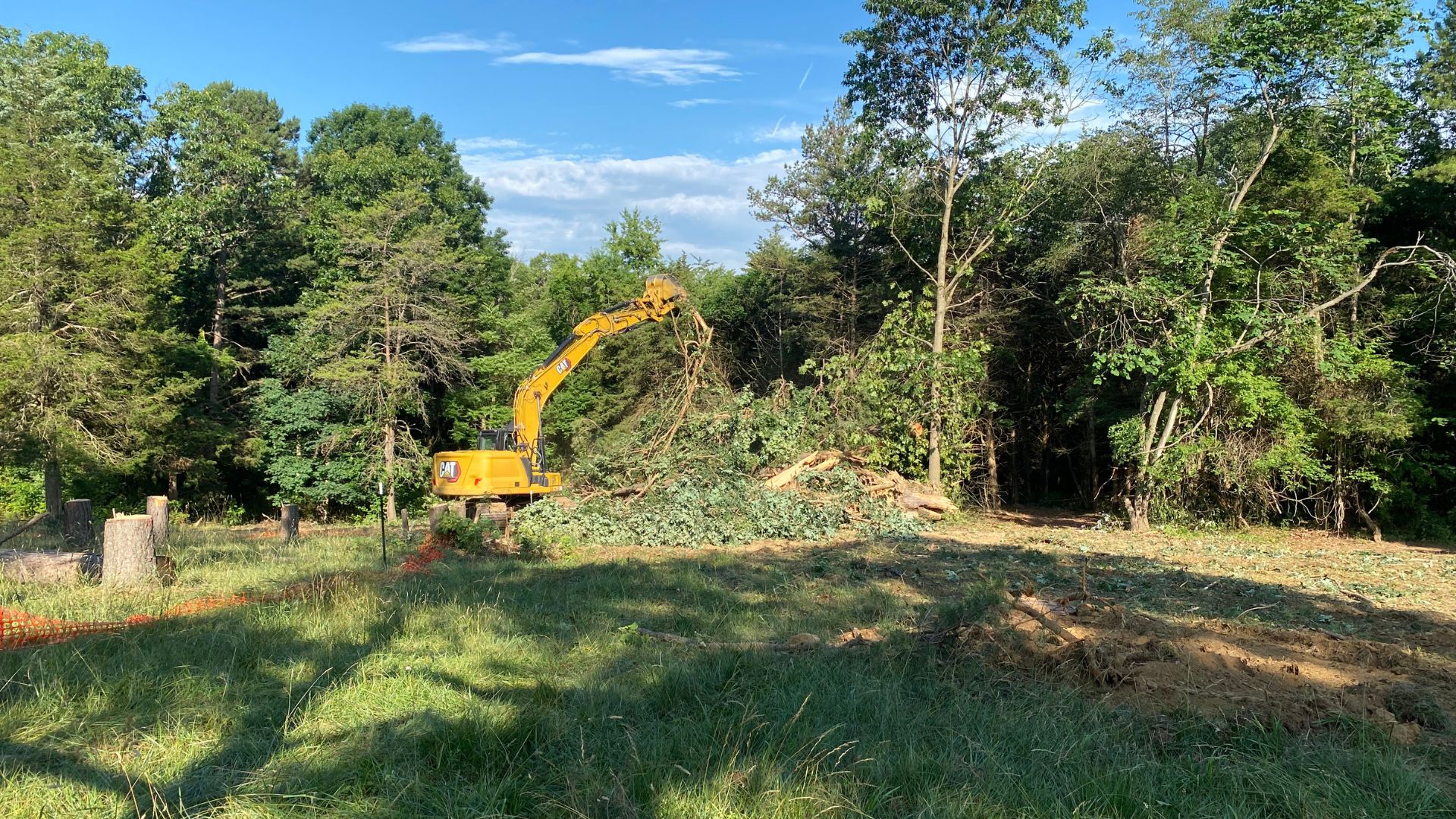 VA Tree Service | VA Tree Removal | Timber Works Tree Care
